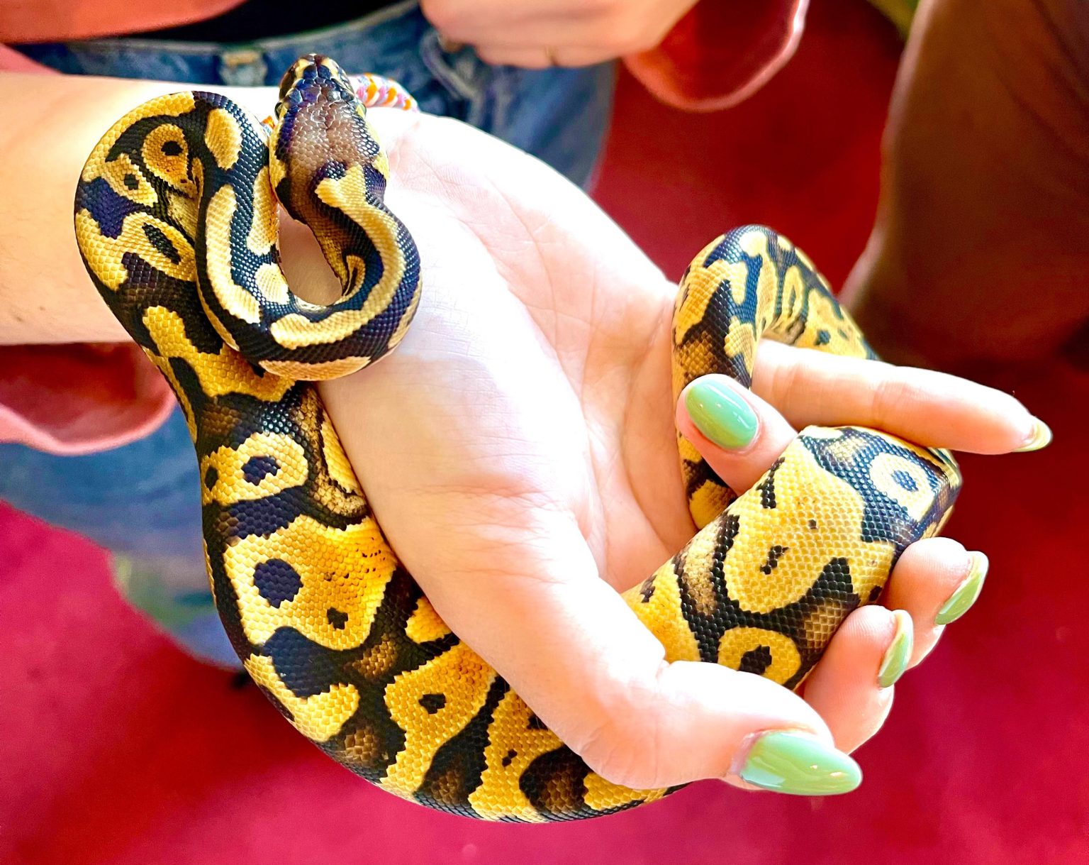 Microservice & API with Python » Khmer168.com – Your Source for IT Knowledge, Comparisons, Best ...